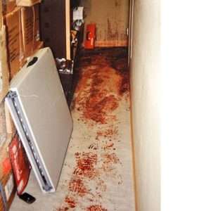 Katherine Knight - The True Crime Database Membership Katherine Knight ...